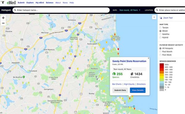 Birdwatching for Beginners: A Complete Guide - Bird Feeder Hub