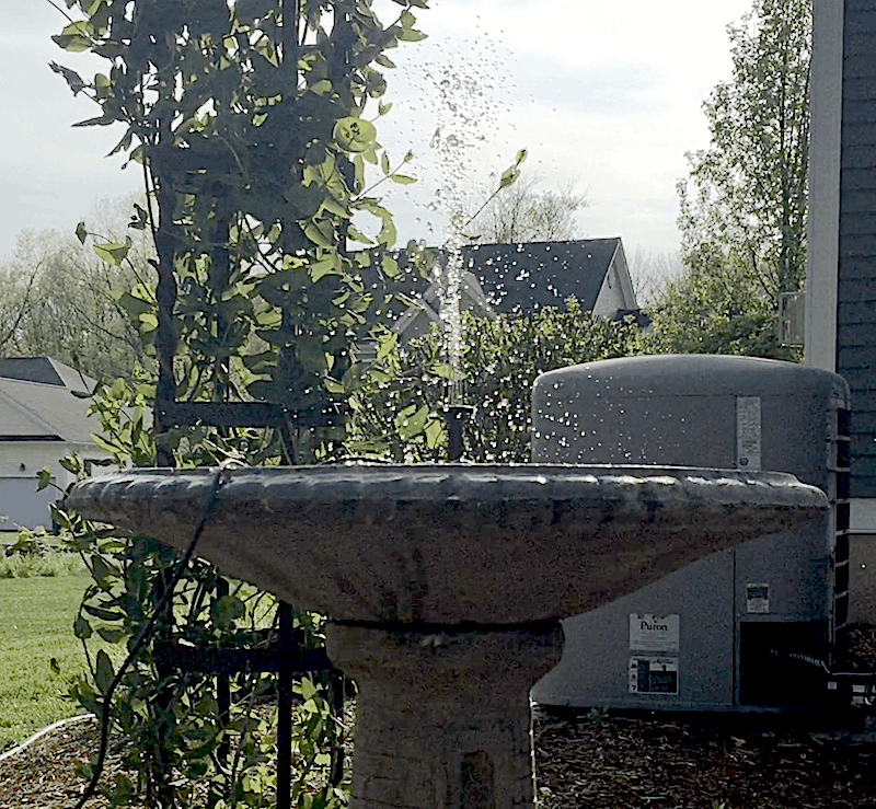 DIY Hummingbird Baths (5 Awesome Ideas) - Bird Feeder Hub